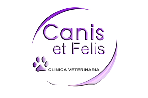 Canis Et Felis | Sam’s Benefits